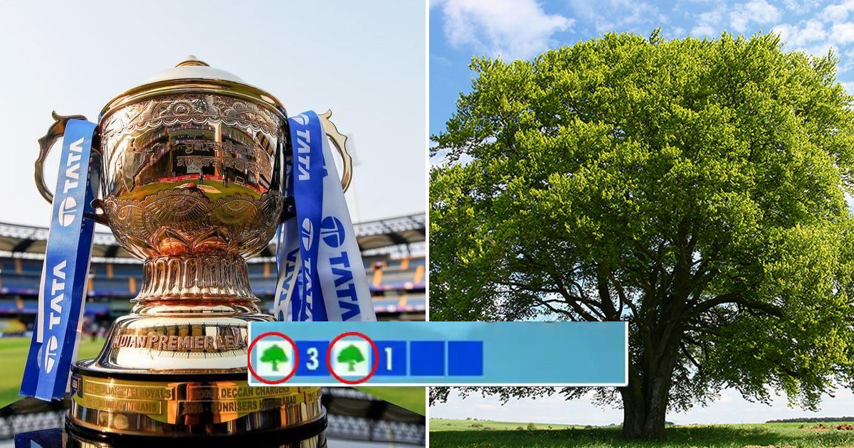 How many trees will BCCI plant for dot balls in IPL 2023 playoffs?